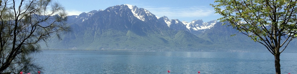 leman – AB inter NET work